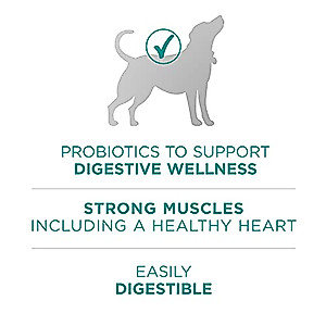 Purina One Plus Digestive Health Formula Dry Dog Food Natural with Added Vitamins, Minerals and Nutrients - 16.5 Lb. Bag