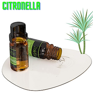 MABUA 18 Essential Oil Set with 20 Holes Case Natural Therapeutic 100% Diffuser Aromatherapy Grade Lavender Lemon Peppermint TeaTree Argan Frankincense Bergamot Lemon