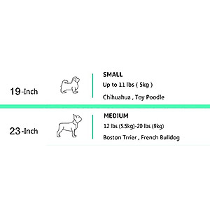 Amazon Basics 2-Door Top Load Hard Sided Dog and Cat Kennel Travel Carrier, 23-Inch, Gray & Blue