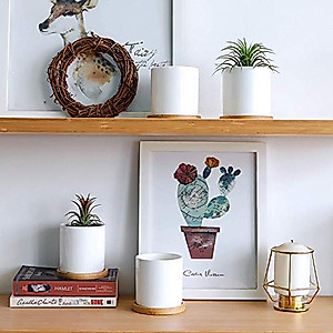 EFISPSS Succulent Plant Pots, 3.2 inch Ceramic Flower Pot with Bamboo Tray, Small Cactus Planter Pots with Drainage Holes, 8 Pack (Plants NOT Included) (White)