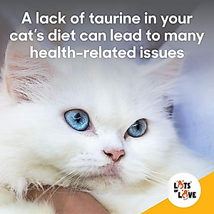 FELO Taurine - Taurine Supplement for Cats, Taurine for Cats, Taurine Powder for Cat - 16 Oz, Powder (Thomas Pet Earlier)
