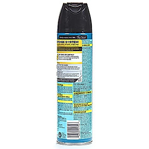Raid Ant Killer Spray Pine Forest 17.5 Ounce (Pack of 1)