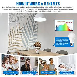 Neporal Full Spectrum Light Bulb, 6000K Natural Sunlight Bulbs, Cool White, 9W 60W Equivalent A19, E26/E27 LED Light Bulbs for Study Office Bedroom Living Room, Pack of 3