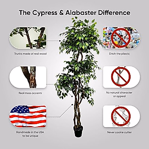 Hand-Made 6.5' Ficus Artificial Tree with Ethically Sourced Real Wood Trunks | Green | Cypress & Alabaster