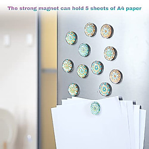 STARUBY Refrigerator Magnets 12 pcs Funny Fridge Magnets Decorative Magnets for Whiteboard Cute Locker Magnets for Boys and Girls Glass Magnets for Refrigerator Office and Kitchen