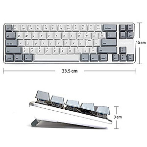 Qisan Holiday Sale 20% Discount Off Mechanical Keyboard Gaming Keyboard Gateron Brown Switch PBT Keycaps Keyboard Wired Backlit Mini Design (60%) 68 Keys Keyboard White Magicforce (White Gray Combo)