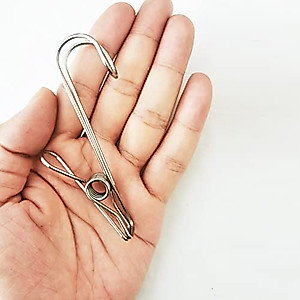 JZMYXA Stainless Steel Clothes Pins, 304 Stainless Steel Metal Long Tail Clothes Pins Stainless Steel Hook Clothes Pins Large Rust-Proof Clothes Pins (12)