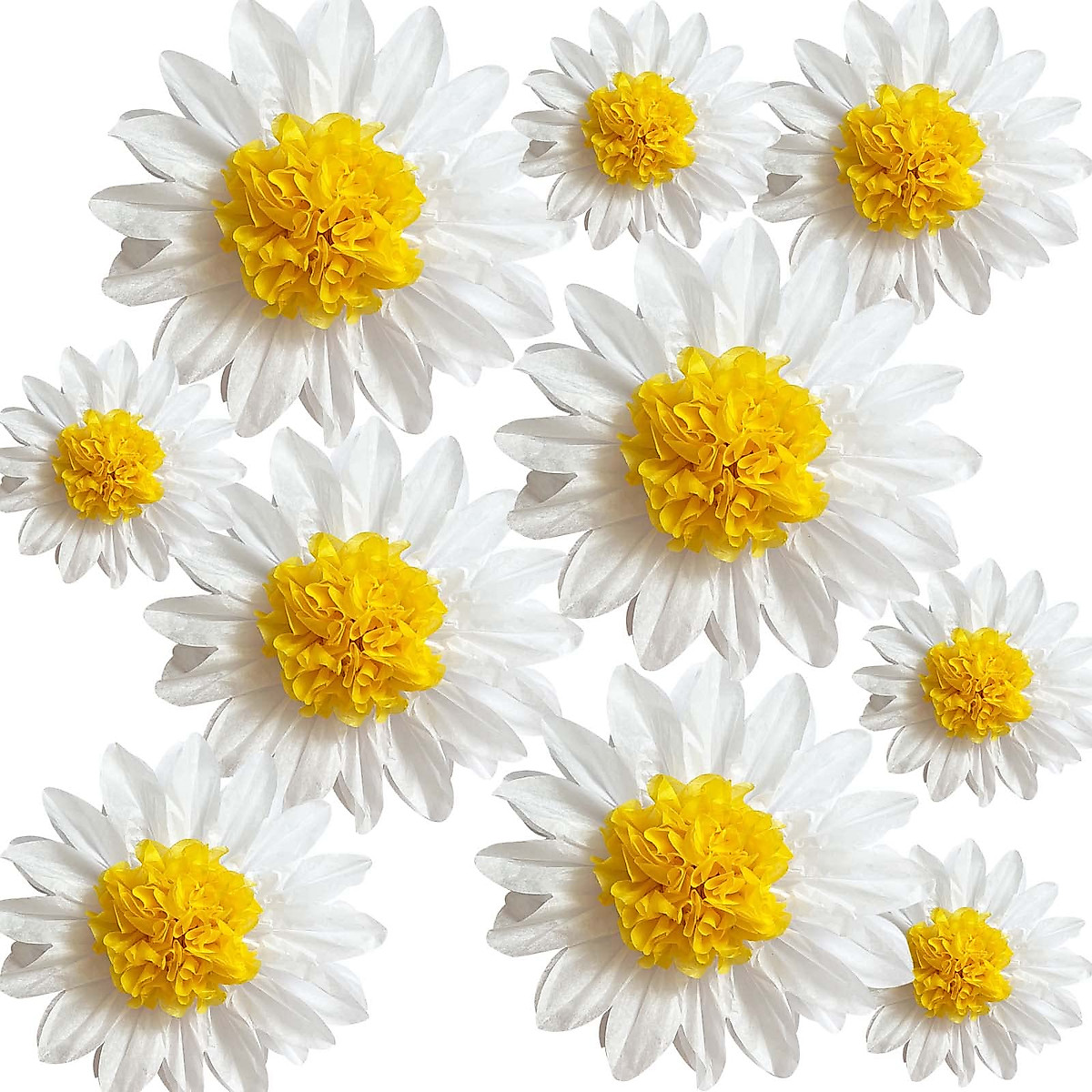 ANSOMO Daisy Tissue Paper Pom Poms Party Decorations White Yellow Flowers Wall Hanging 1st Birthday Bridal Baby Shower Wedding Classroom Décor 12" 8" Pack of 10