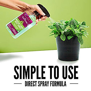 Aunt Fannie’s Houseplant & Garden Insect Remedy, Indoor and Outdoor Plant Insect Killer (6-Pack)