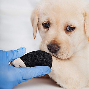 Tattoo Grip Tape Wrap Cover - Autdor 6Pcs 2" x 5 Yards Tattoo Machine Tape Cohesive Elastic Bandage Rolls Self-Adherent Tape for Grip Tube Accessories Sports Tape