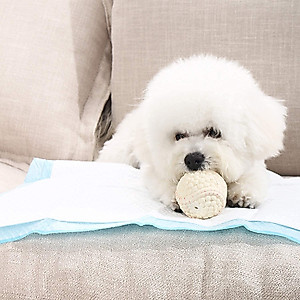 Payanwin 100 Pack Disposable Changing Pads Baby Disposable Underpads Waterproof Diaper Changing Pad Breathable Underpads Bed Table Protector Mat, 17.8 Inches x 13 Inches