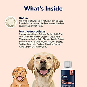 Vets Preferred Dog Anti Diarrhea Liquid - Dog Diarrhea Relief with Pectin and Kaolin (8 oz.) | Once Every 12 Hours for Dog Diarrhea & Dog Gas Relief