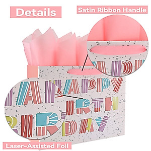 13” Large Colorful Happy Birthday Gift Bag Set with Handles, Greeting Card, Tissue Papers and Stickers for Women Girls, Silver Foil Accents Design, 1 Pcs