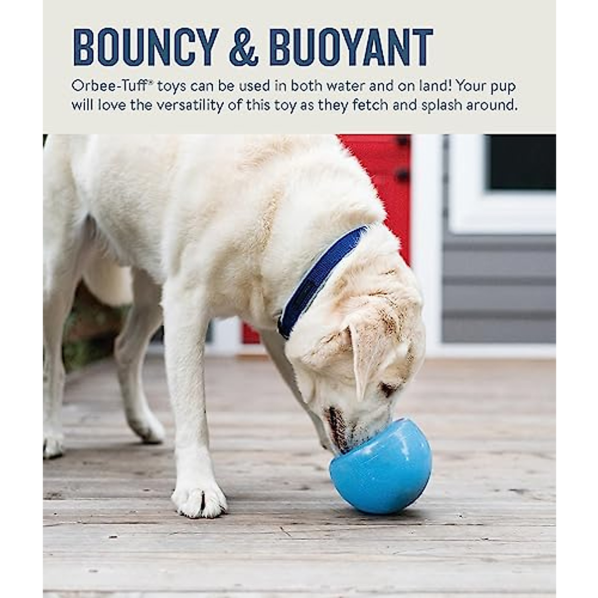 Planet Dog Orbee-Tuff Snoop Interactive Treat Dispensing Dog Toy, Large, Blue