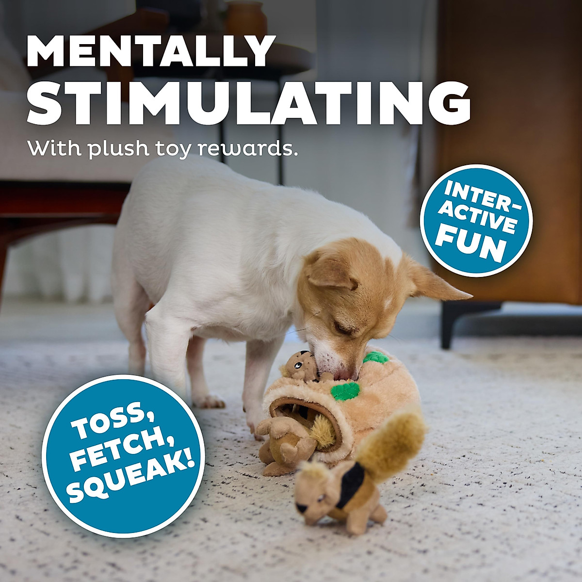 Outward Hound Hide A Squirrel Plush Dog Toy Puzzle, Small