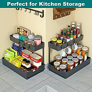 IRONBOX Under Sink Organizer, 2 Pack Pull Out Cabinet Organizer 2-Tier Slide Out Sliding Shelf Under Cabinet Storage for Bathroom Kitchen Sink Organizers and Storage(Black-2 Pack)