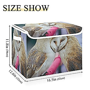 Kigai Storage Basket Cute Owl Storage Boxes with Lids and Handle, Large Storage Cube Bin Collapsible for Shelves Closet Bedroom Living Room, 16.5x12.6x11.8 In