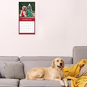 2023-2024 Wall Calendar - Cute Puppies Wall Calendar 2023-2024, Fun Dogs Wall Calendar, Jan. 2023 - Jun. 2024, 12'' x 12'' (Closed), 12'' x 24'' (Open), Dog Calendar, Hanging Hole, Holidays