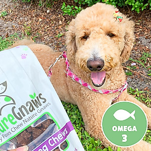 Nature Gnaws Fish Bites for Dogs - Natural Dog Treats – Premium Cod & Salmon Chewy Training Reward – 1 Lb