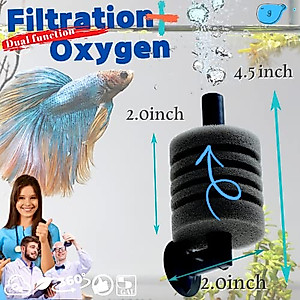 Aquarium Sponge Filter Luxury Set for Breeding Fry, Fish Tank Fine Small Sponge Filter up to 10 Gallon, Fish Tank Mini Bio Foam Filter for Betta Shrimp (2x Mini Sponge Filter)