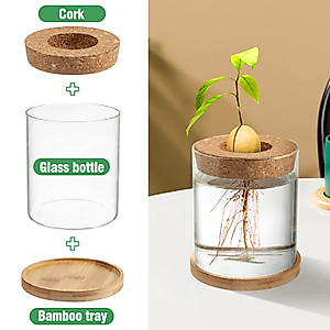 Biggun Avocado Tree Growing Kit - Avocado Pit Planting Bowl with Cork and Wooden Base, Cultivating Seedlings in Novel Way, Great Gift for Family Friends and Gardening Enthusiasts