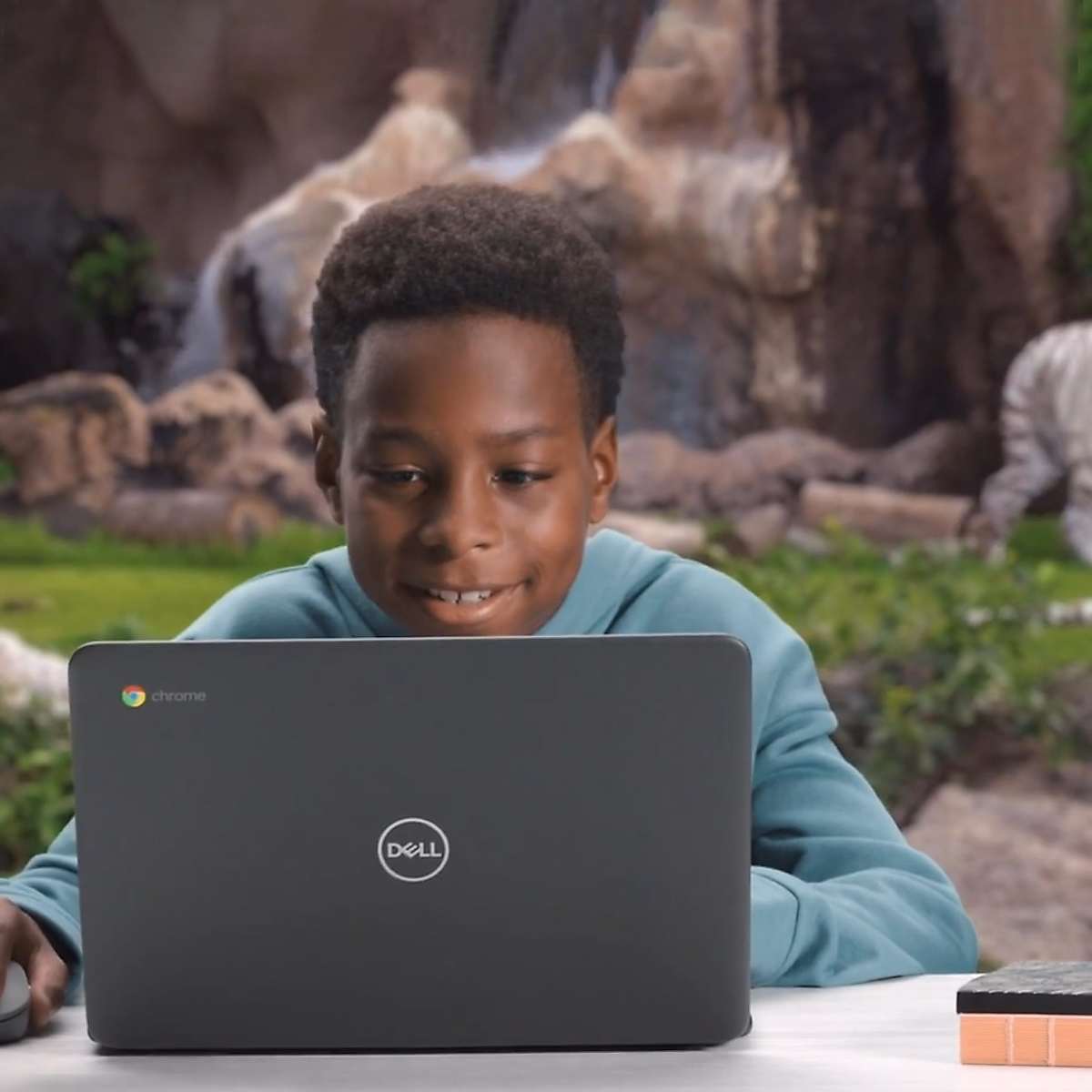 Dell Chromebook 11 3100 Rugged Chromebook, 11.6" HD Anti-Glare Screen, Intel Celeron N4020, 4GB LPDDR4 RAM, 16GB eMMC Storage, Spill-Resistant Keyboard, HD Webcam, WiFi 5, Black, Chrome OS