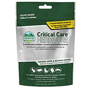 Oxbow Animal Health Critical Care, Herbivore, Apple-Banana Flavor, 141 Gram Bag