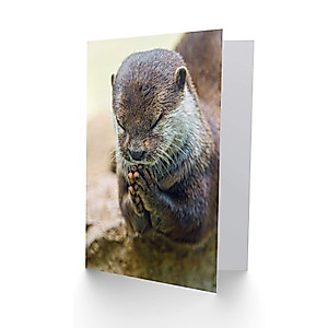 Wee Blue Coo GREETINGS CARD BIRTHDAY GIFT ANIMAL CUTE OTTER PRAYING