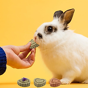YAODHAOD 20PCS Bunny Chew Toys, Small Animal Natural Timothy Grass Cake Chew Molar Toys for Rabbits Bunnies Guinea Pigs Hamsters Gerbils and Other Small Animals Pet Treats Toys (Grass Biscuit)