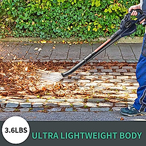 DEXTRA Leaf Blower, 20V Cordless Leaf Blower with 2.0 Ah Battery & Charger, Electric Leaf Blower for Lawn Care, Battery Powered Leaf Blower Sweeper Light Duty for Dust, Snow, Yard, 135MPH Output