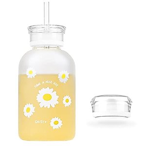 WHJY 16oz Cute Water Bottle, Matte Glass Water bottle with Straw, Milk Juice Glass Water Bottle with Scale, with 2 Lids, Little Daisy Sunflower Matte Portable Water Cup - Matte 6 Sunflowers