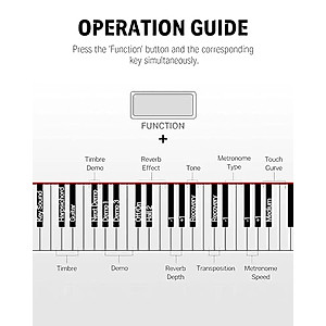 Donner DDP-300 Digital Piano with 88 Graded Hammer Action Weighted Keys, Record, Bluetooth, 10 Voices, 4 Reverb, Speakers, Professional Full Fize Key Keyboard Electric Dark Rose