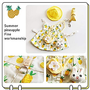 mcgrady1xm Small Animal Harness Vest and Leash Set, No Pull Comfort Clothes with Accessory, Travel Escape Proof Harness for Rabbit Ferret Guinea Pig Bunny Hamster Puppy Kitten (S)