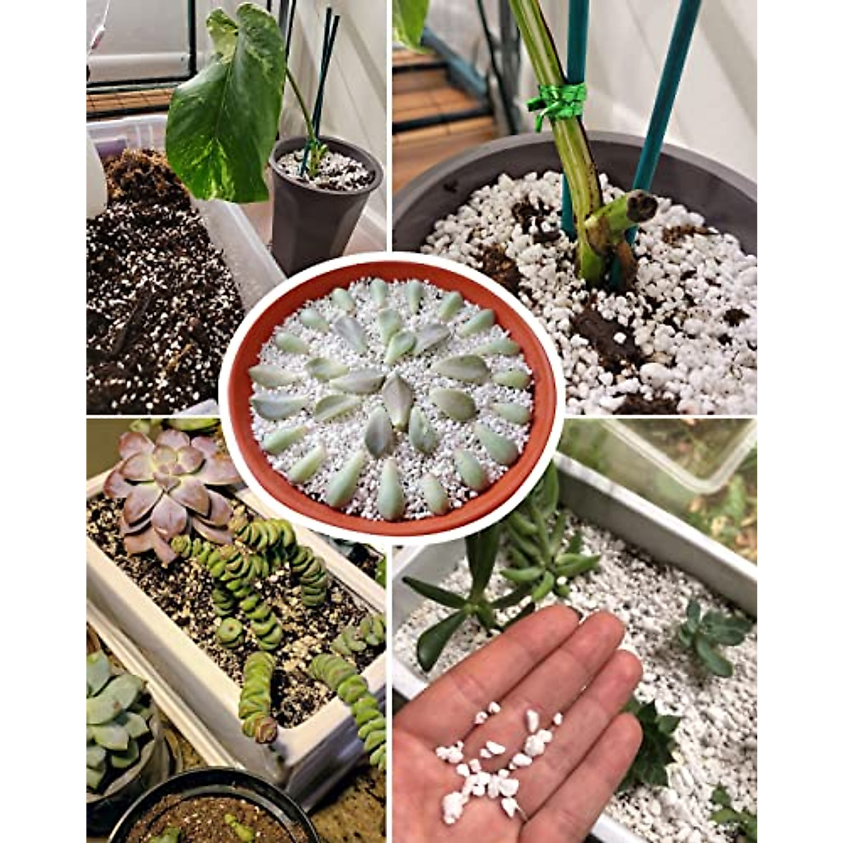 10 QT Professional Grade Horticultural Organic Perlite (10 QT, Perlite)