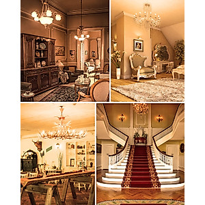 LUTW E12 Candelabra LED Light Bulbs 40 Watts Equivalent, 450 Lumen Type B LED Chandelier Light Bulbs, Warm White 2700K Non-Dimmable B11 Ceiling Fan Bulb, 6 Pack