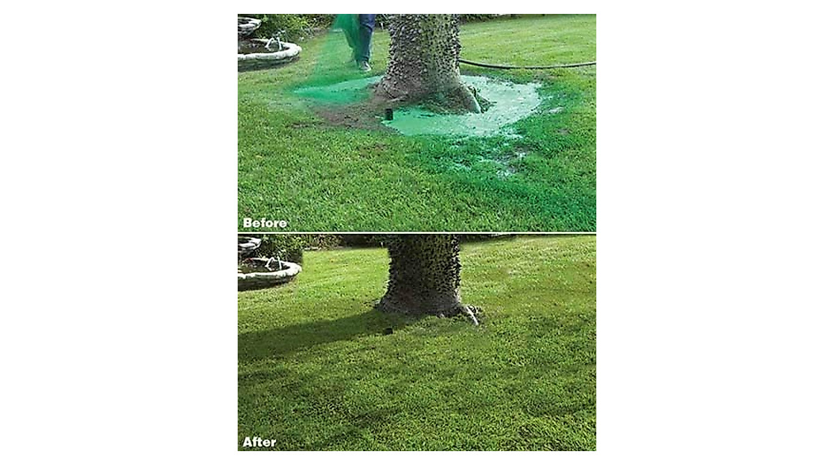 Grow Green with Hydro Mousse Liquid Lawn Bermuda Grass Kit