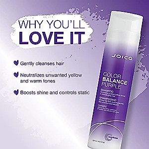 Color Balance Purple Shampoo | For Cool Blonde, Gray Hair | Eliminate Brassy Yellow Tones | Boost Color Vibrancy & Shine | UV Protection | With Rosehip Oil & Green Tea Extract | 10.1 Fl Oz