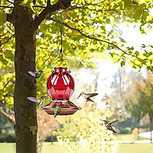 BOLITE 18016-R Hummingbird Feeder, Glass Hummingbird Feeder for Outdoors, Meshy Texture Ball Shape Bottle, 18 Ounces, Red, Xmas Gifts for Bird Lovers