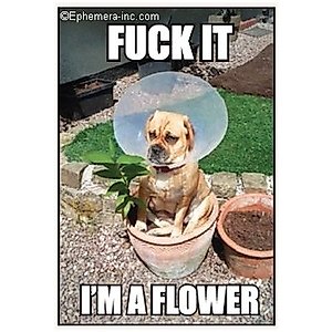 Rectangle Magnet- Fuck It, I'm a Flower