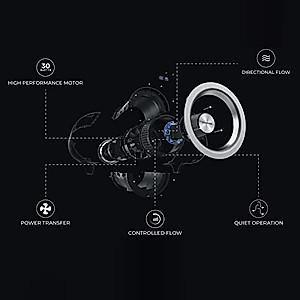 Everdure 49.4 Inch Indoor/Outdoor Pedestal Fan, 6 Speed Settings, Targeted Airflow Control, Oscillating Fan, Remote Control Included, Perfect Cooling Fan for Bedroom, Living Room, Home Office, Black