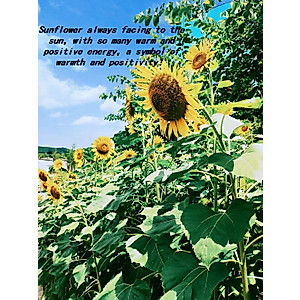 Hewayiu You are My Sunshine Sunflower Enameled CZ Heart Stainless Steel Ring Promise Eternity Band Cocktail Party Rings Adjustable Size 5-10