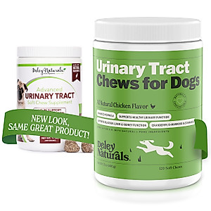 Deley Naturals Dog UTI Prevention - 120 Grain Free Soft Chews - Incontinence, Bladder, Kidney & Immune System Support - Cranberry Pills - D-Mannose & Echinacea - Made in USA - Natural Chicken Flavor