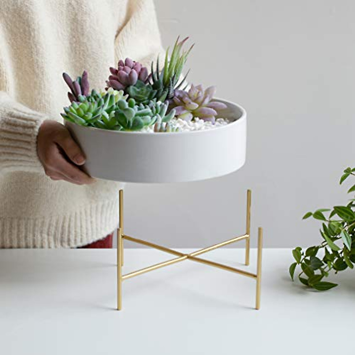 kimisty 10 Inch Large Round Succulent Planter Bowl with Gold Metal Plant Stand, White Ceramic Pot with Drainage, Succulent Garden Shallow Pot, Centerpiece Tabletop