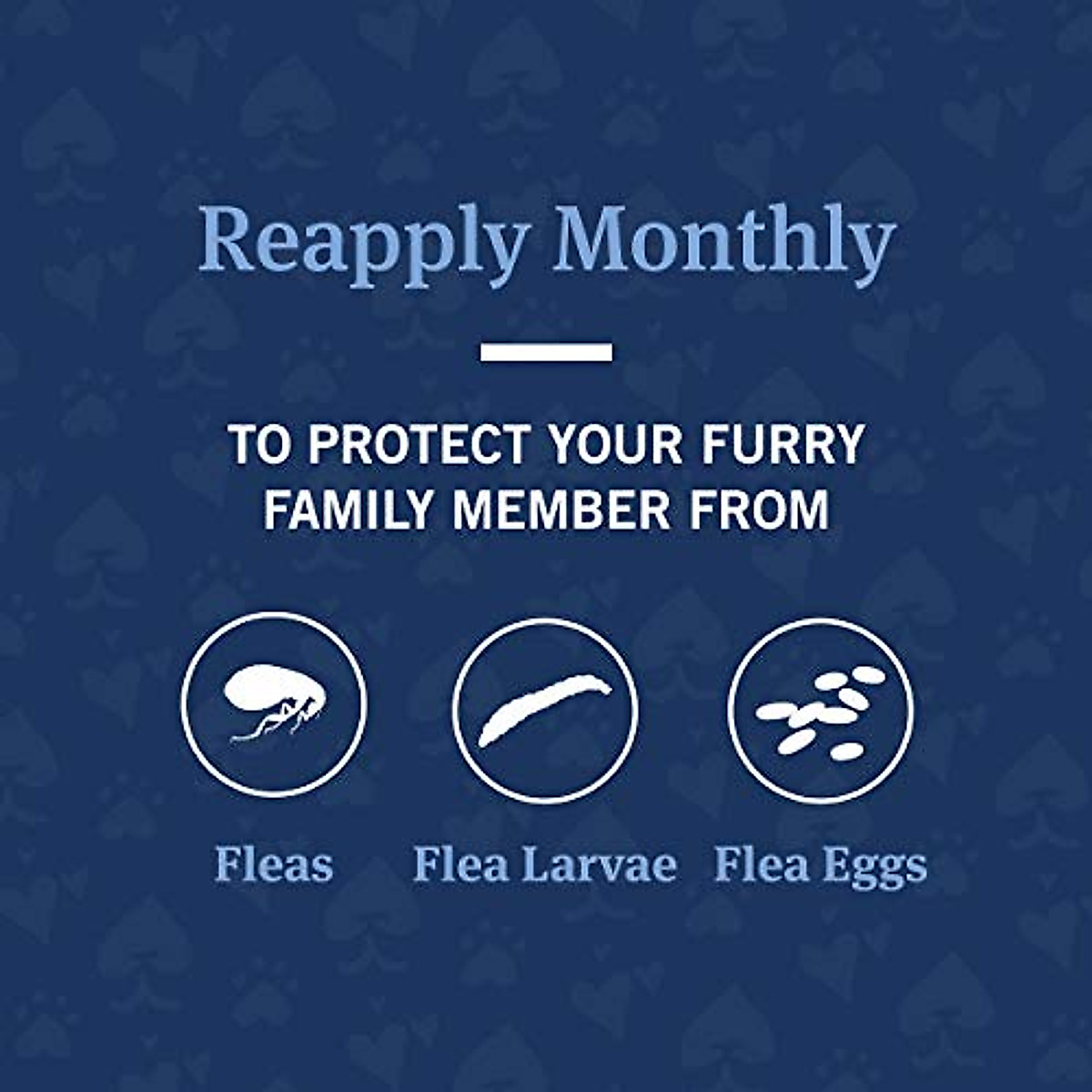 PetArmor Advanced 2 Flea Prevention for Large Cats, 6 Month Supply