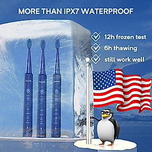 Professional Water flosser Toothbrush-B09MYZT35G