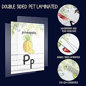 36 Classroom Alphabet Bulletin Board Set Alphabet Line for Classroom Wall ABC and Number Strip Border Alphabet Posters Kids Educational Learning Card for Kindergarten Preschool Classroom Decorations