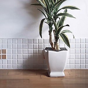 Mr. Fireglass Natural Decorative Gray Bean Pebbles 1/5" Crushed Gravel Stone for Decorating Garden, Succulent Plants and Walkway (2-lb Bag)