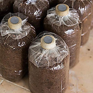 64 Pieces Synthetic Filter Paper Stickers 0.3 um Filter Disc Mushroom and 100 Pieces Vial Rubber Stopper Injection Ports for Mushroom Cultivation(7.6mm Diameter)