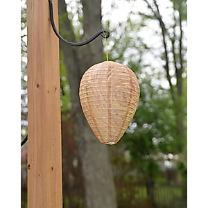 Glass Wasp Trap and Wasp Deterrent Hive (2 Hives) by Best Bee Brothers