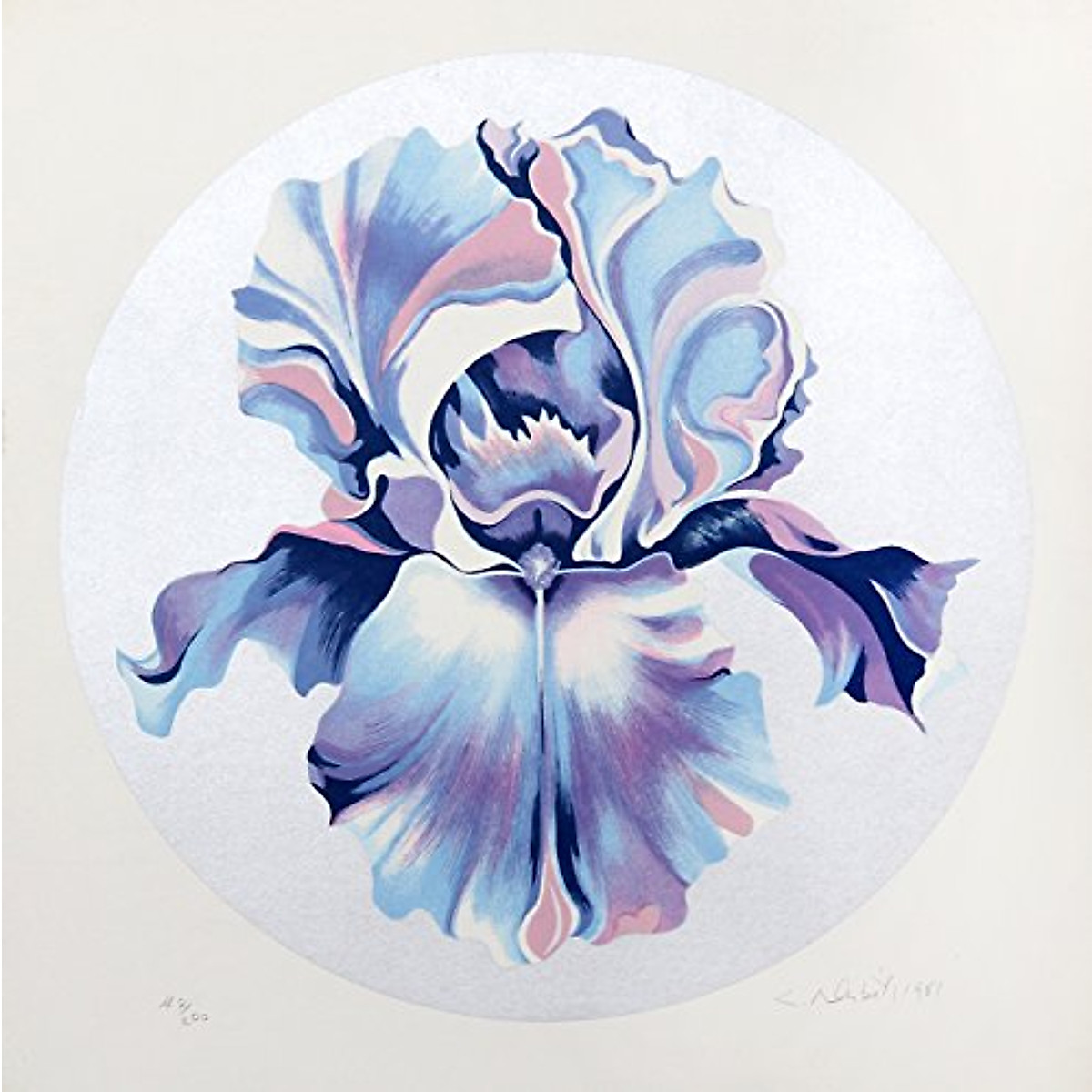 Iris on Silver